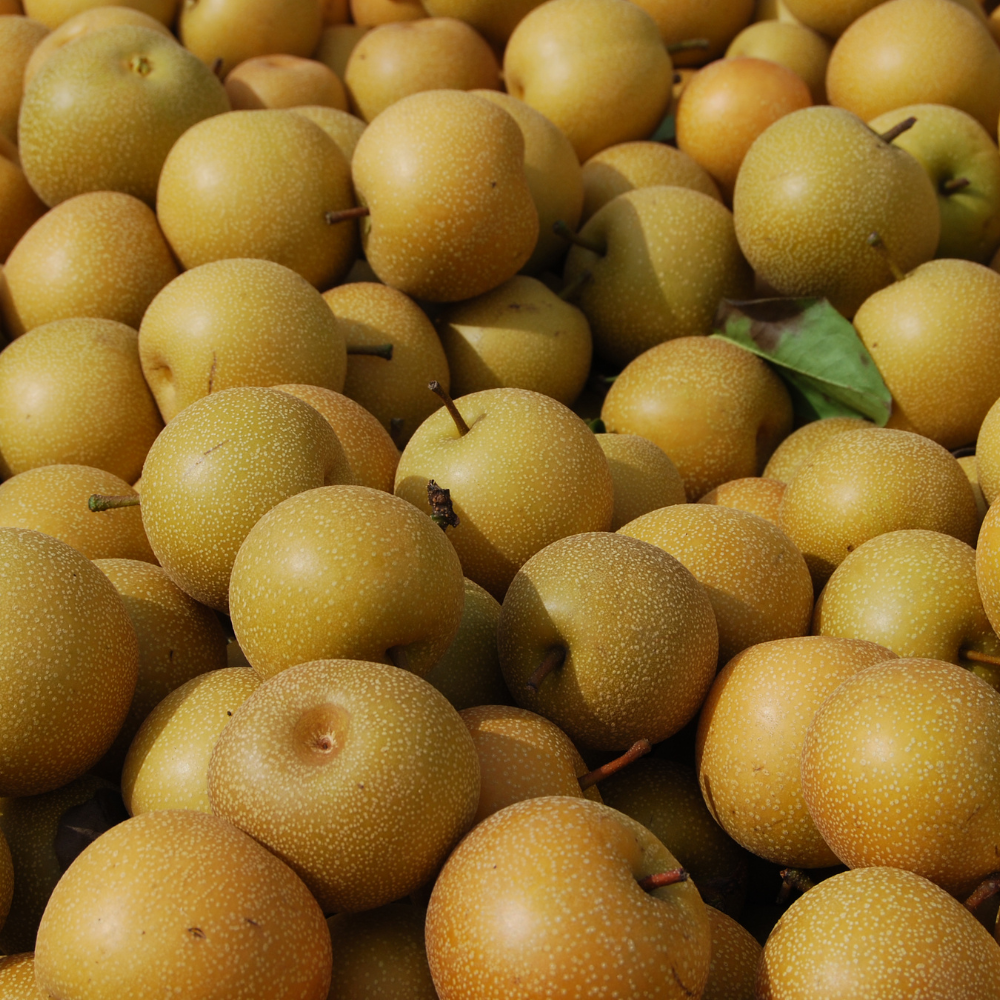 Organic Nashi Pears | Local Organic Delivery Melbourne