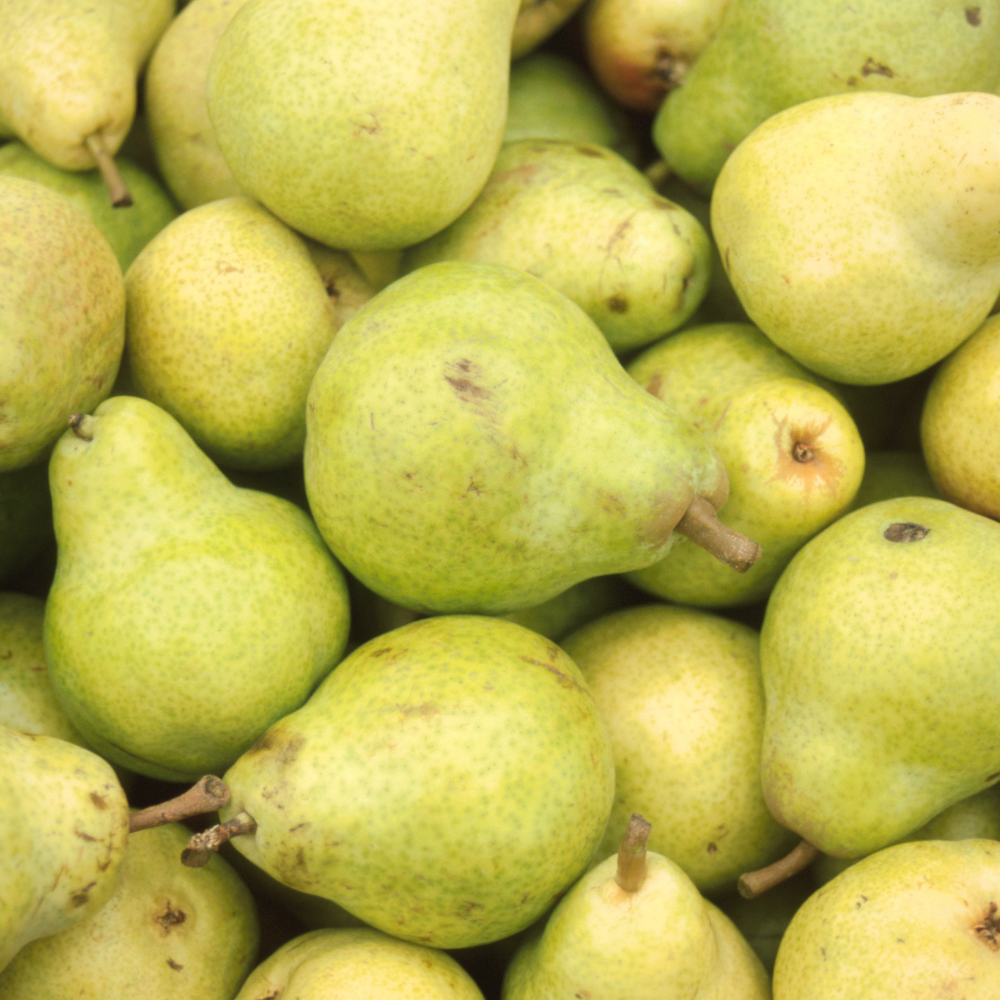 Organic Pears | Local Organic Delivery Melbourne