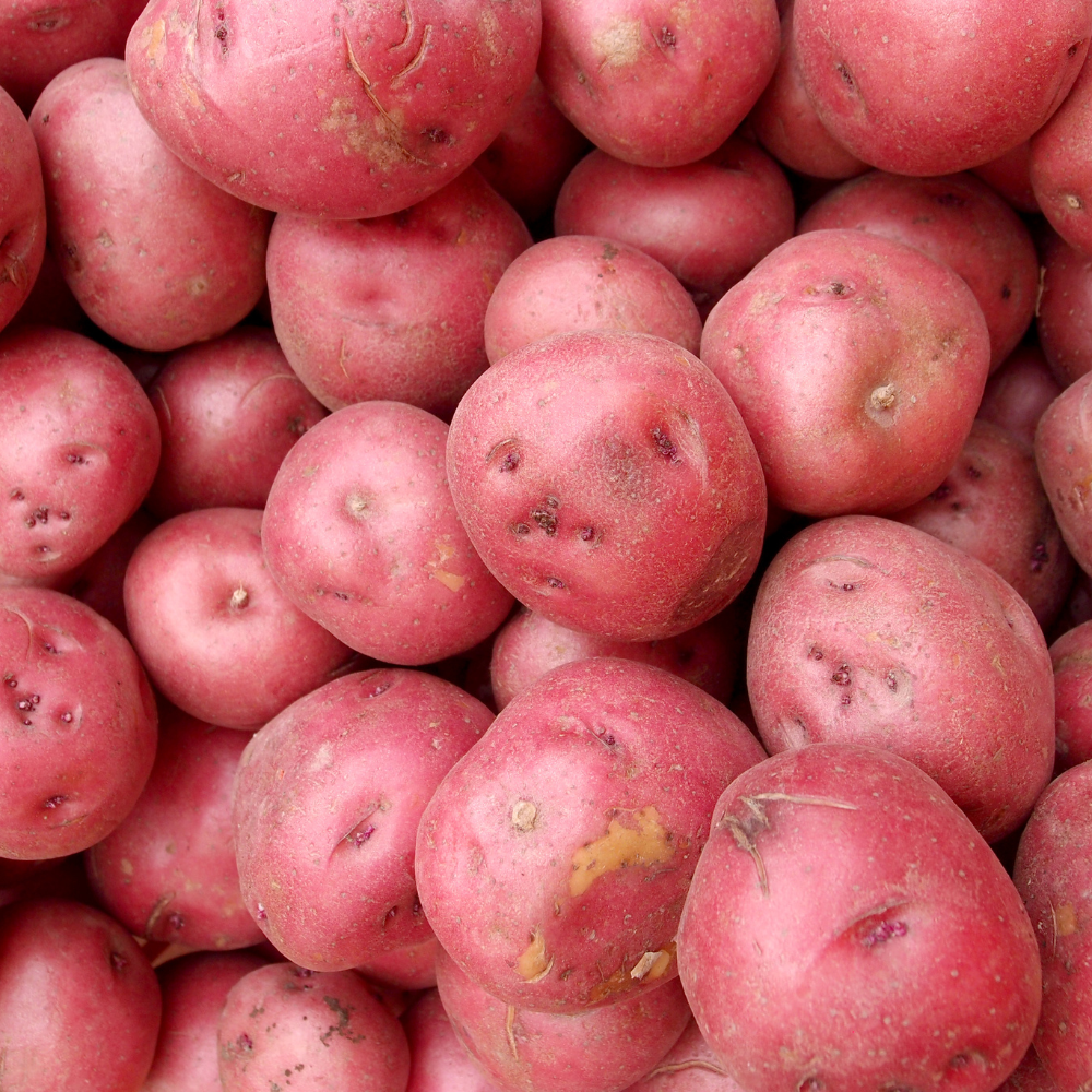 Organic Washed Red Potatoes | Local Organic Delivery Melbourne